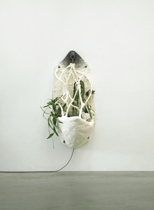 Daan Gielis | Morpho