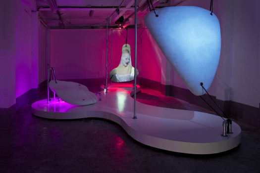 Stef Van looveren | Morpho